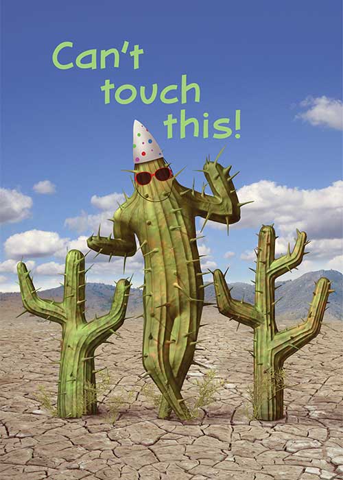 Can't Touch This Birthday Greeting Card | by Artist Kim Whittemore – St ...