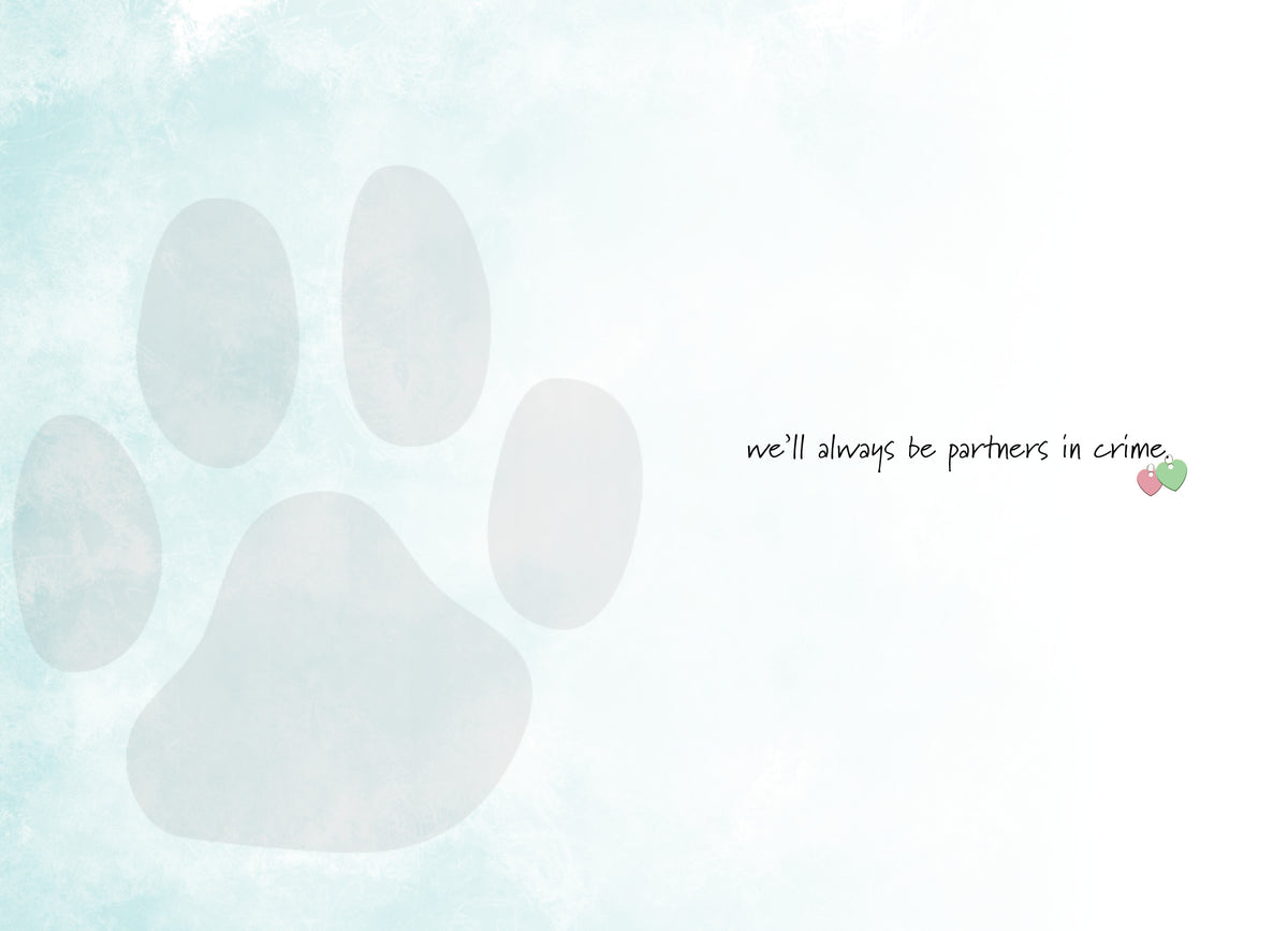 Friends Stick Together Dog Friendship Card – St. Thomas Greetings